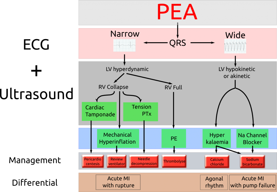 Beyond the guidelines: an approach to cardiac arrest in the Emergency ...