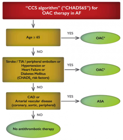 My Heart is Racing! Select Cardiac Arrhythmias in the ED - EMOttawa Blog