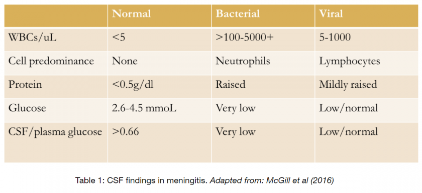 Meningitis in the ED Patient - EMOttawa Blog