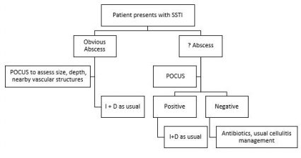 Echoes: Taking Your POCUS Game to the Next Level - EMOttawa Blog