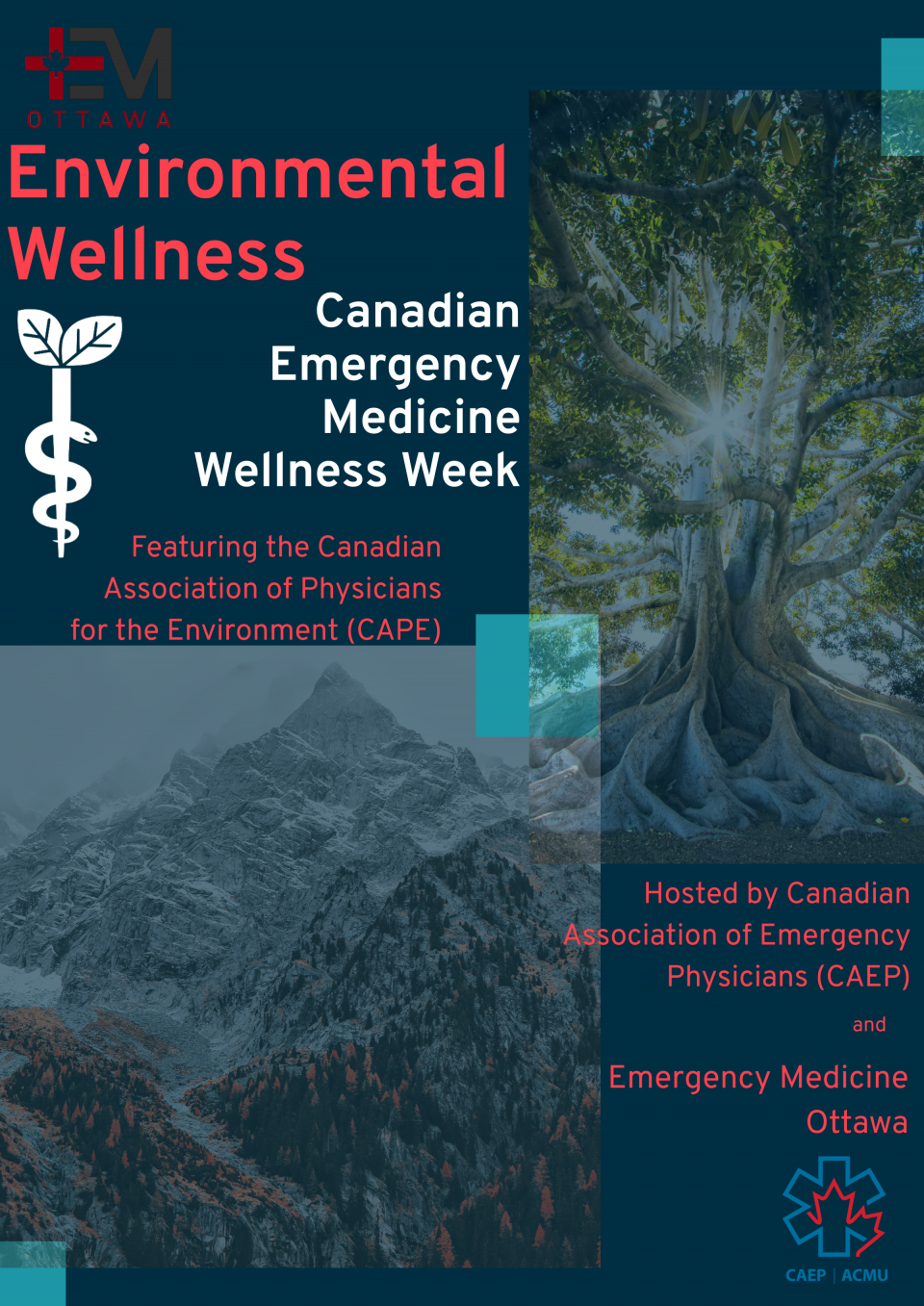 Introduction to Environmental Wellness - EMOttawa Blog