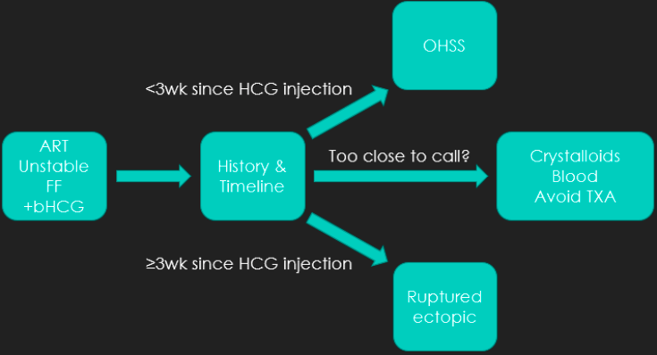 Complications of Assisted Reproductive Technology - EMOttawa Blog