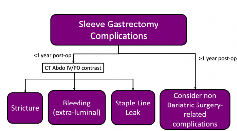 Bariatric Surgery Complications in the ED - EMOttawa Blog