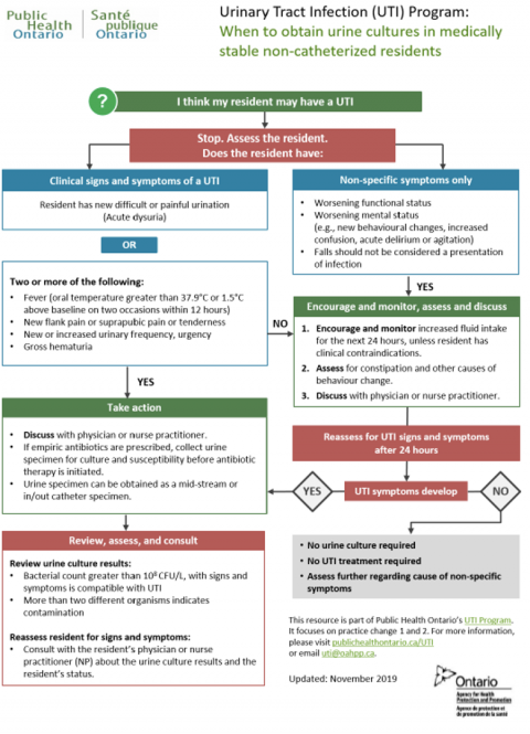 Urinary Tract Infection: All your questions answered - EMOttawa Blog
