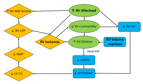 RV Failure and Acute Pulmonary Embolism - EMOttawa Blog
