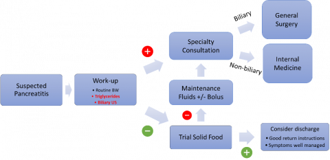 Rethinking Acute Pancreatitis in the ED - EMOttawa Blog