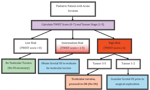 Testicular Torsion - EMOttawa Blog