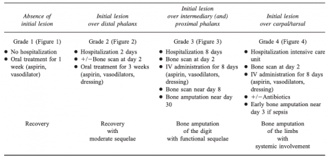 The Deep Freeze: A Review of Frostbite Management - EMOttawa Blog