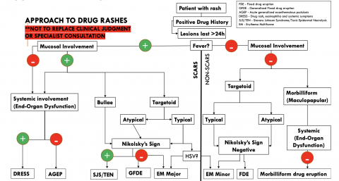 Drug Rashes - EMOttawa Blog