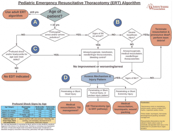 Pediatric Traumatic Cardiac Arrest - EMOttawa Blog