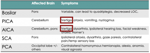 Posterior Circulation Strokes - EMOttawa Blog