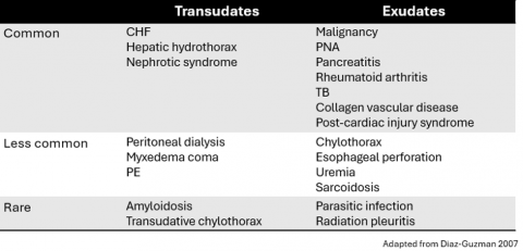 By the Hammer of Thora: Pleural Effusions in the ED (part 1) - EMOttawa ...