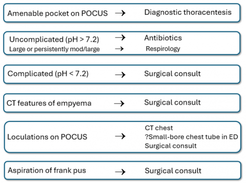 By the Hammer of Thora: Pleural Effusions in the ED (part 1) - EMOttawa ...