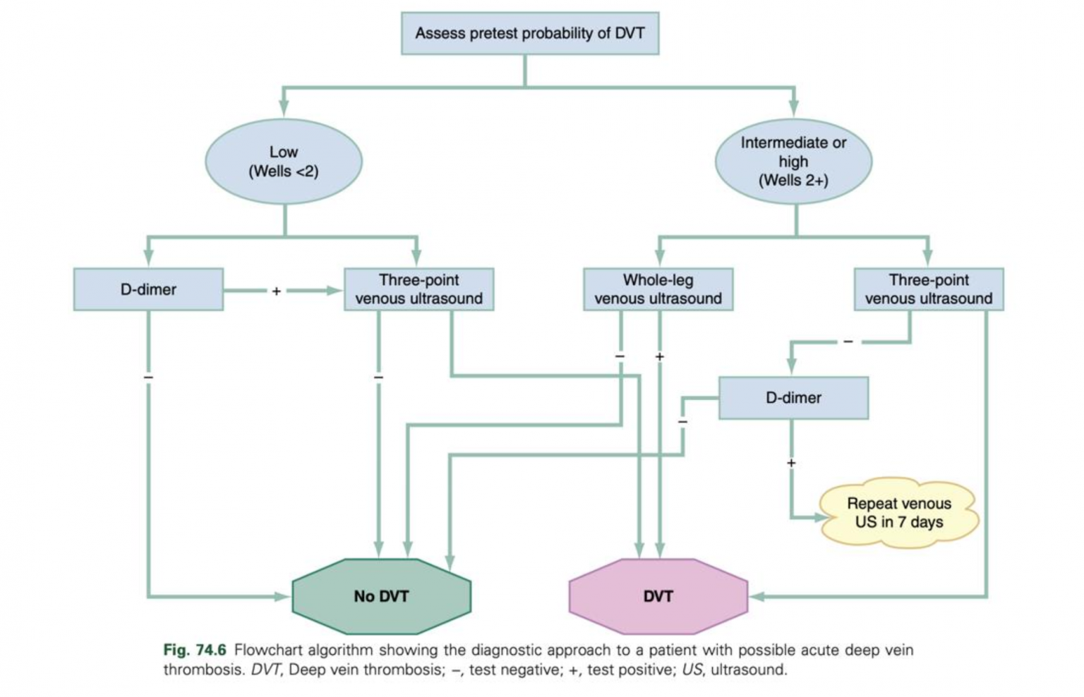Mastery of DVT PoCUS - EMOttawa Blog