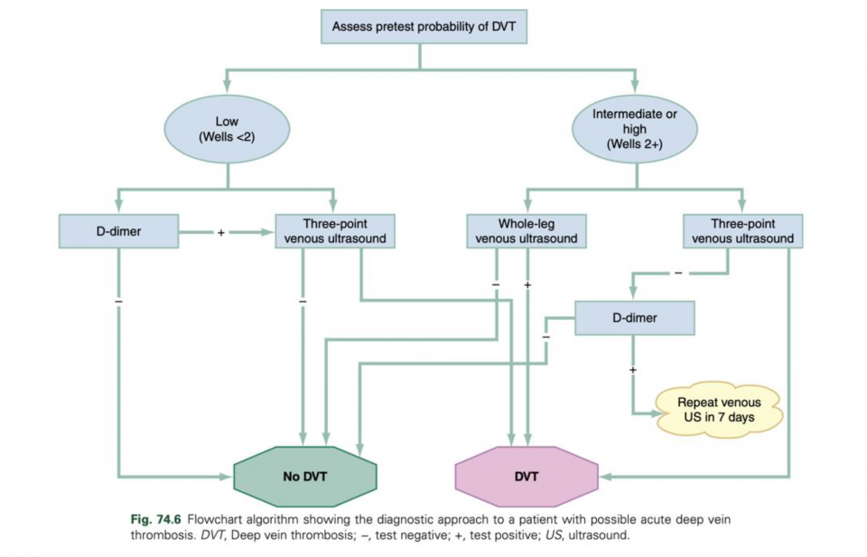 Mastery of DVT PoCUS - EMOttawa Blog