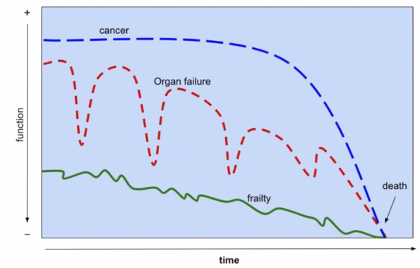 Caring for the Imminently Dying Patient: When resuscitation shifts to ...